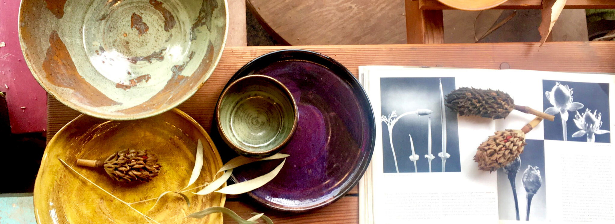 Home - Plum Pottery